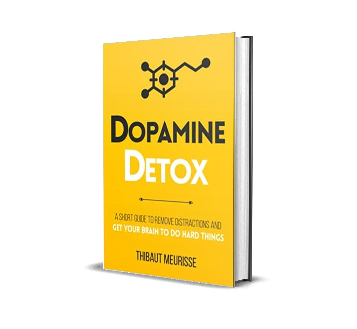 Dopamine Detox by Thibaut Meurissee – Grey.com.np